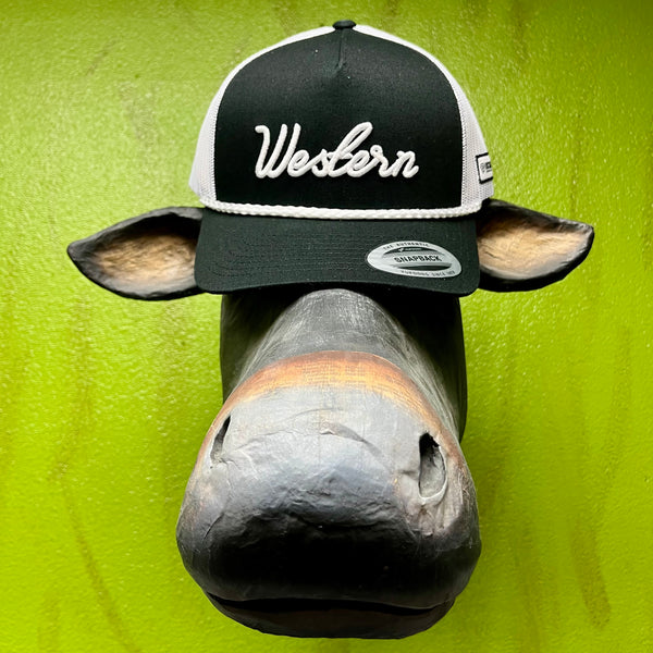 Men's Panhandle Slim Black Western Cap - BU40X06245 | Blairs Western ...